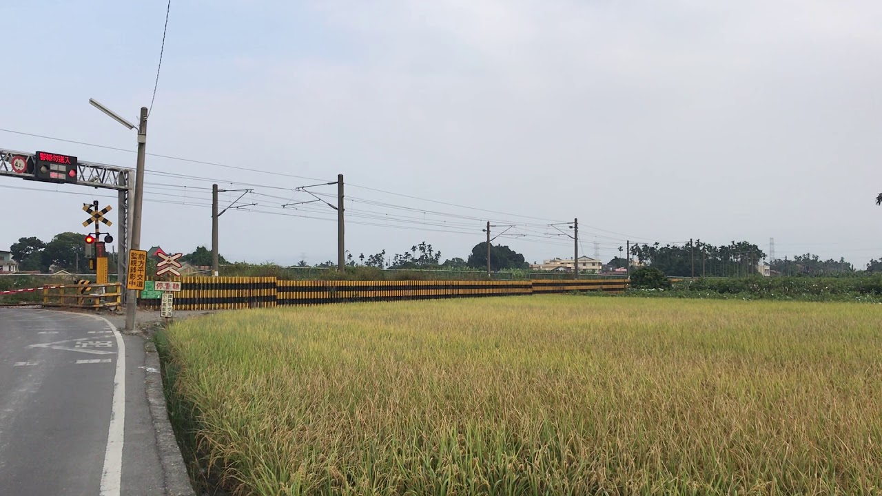2019/11/16 3188次區間車(EMU800)&129次PP自強號(E1000)通過修仁平交道 - YouTube