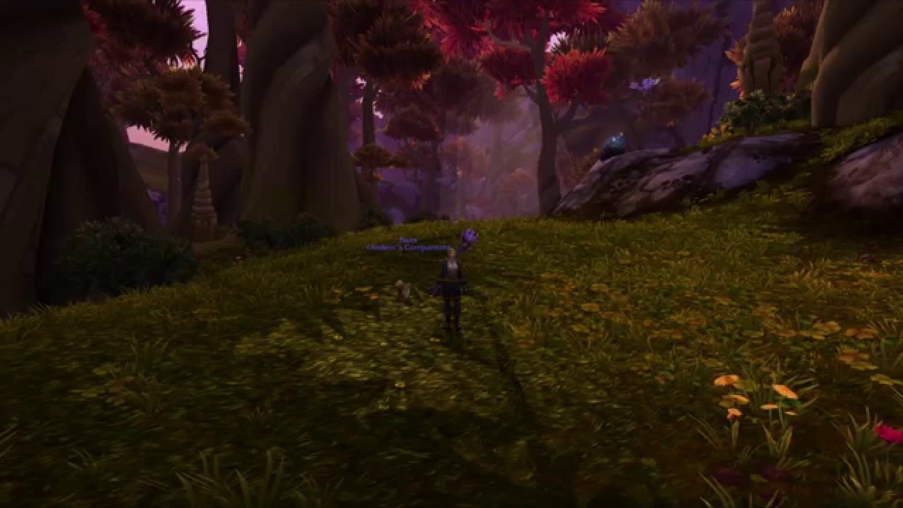 Nuts - World of Warcraft WoW pet - YouTube