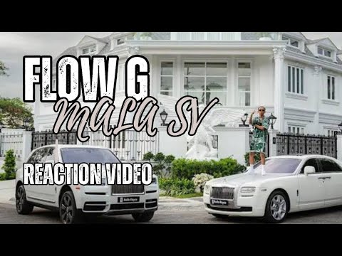 Flow G - Mala SV (Reaction Video) - YouTube