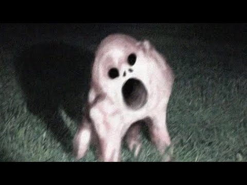 The stalking dwarf Jumpscare green screen (Trevor Henderson creature ...