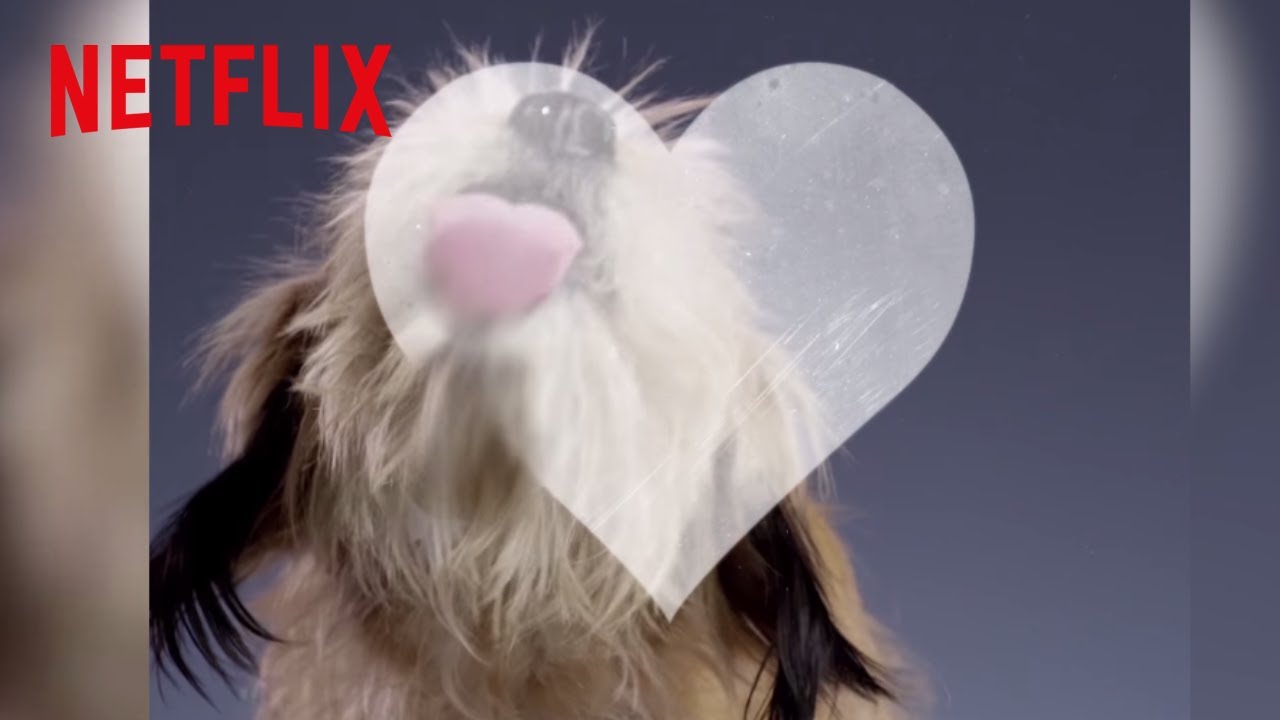 Benji in 30 Seconds | Benji | Netflix After School - YouTube