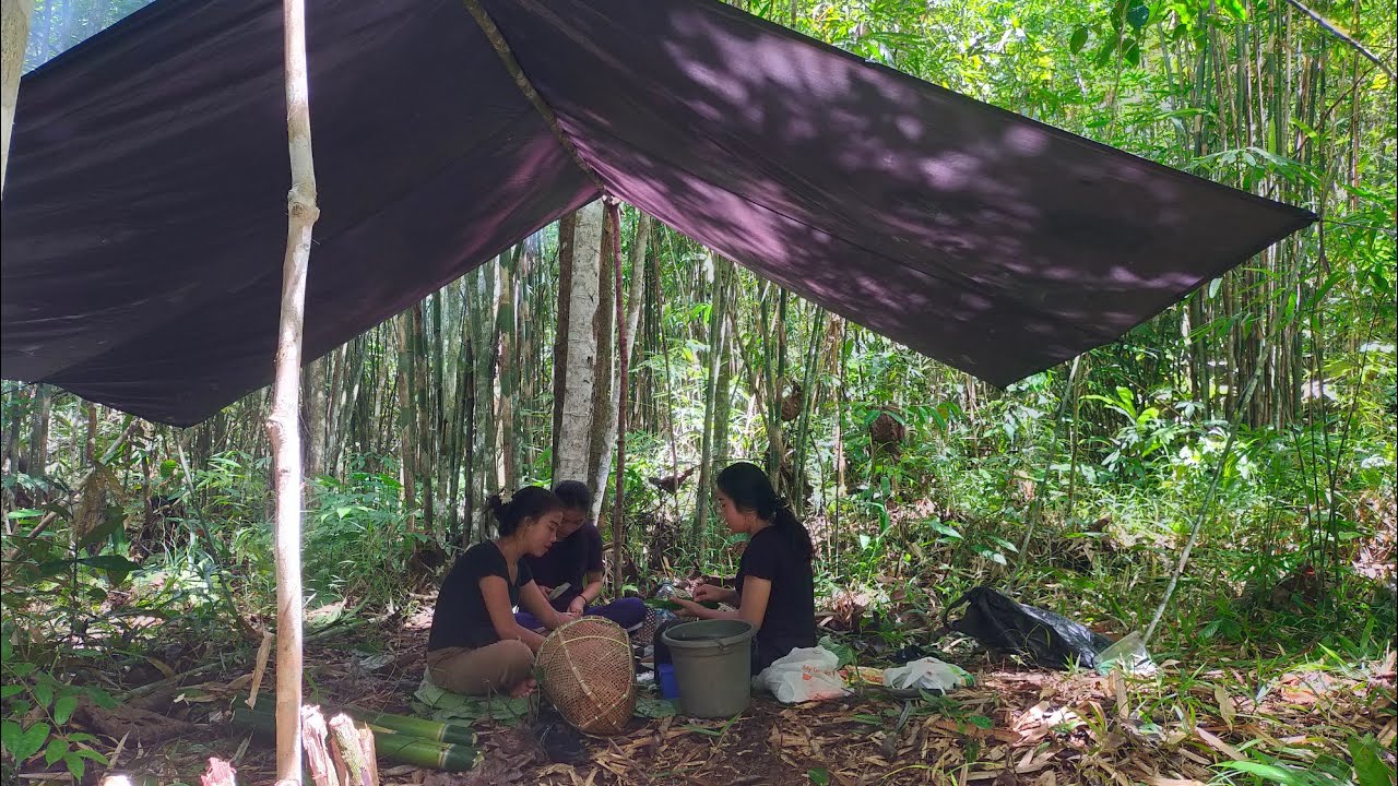 Suku Dayak || Hidup di Hutan, Masak Pakai Bambu - YouTube