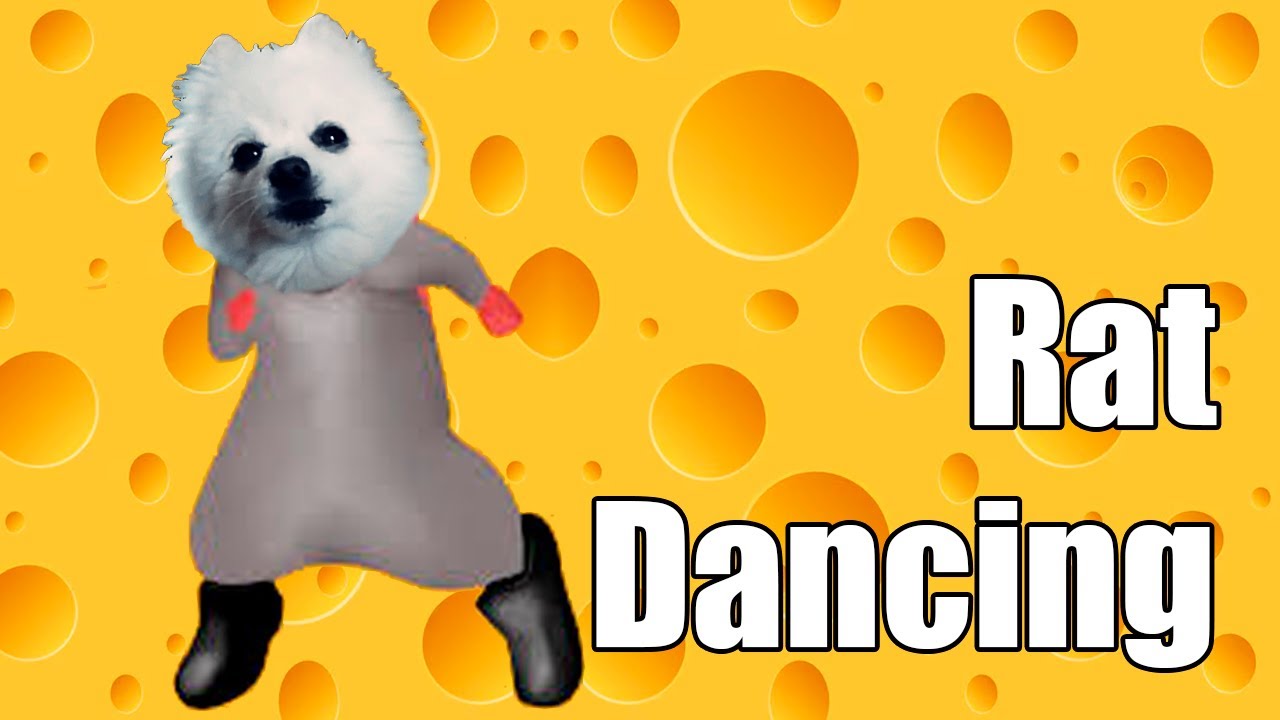 Chess Type Beat (Rat Dance) - Cover Perro - YouTube