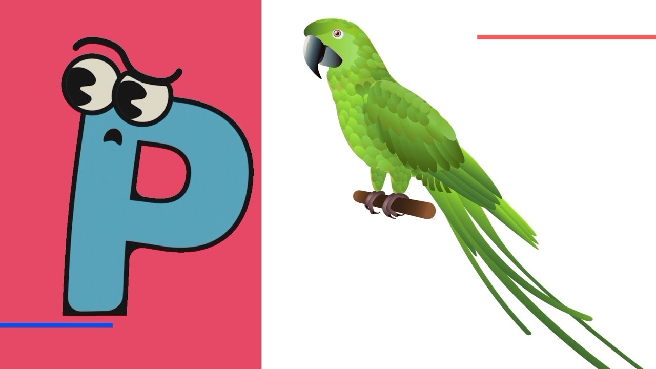 Starfall Alphabet P | Learn A to Z | Starfall abc | Listening Reading ...