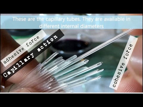 Experiment on Capillary Action or Capillarity using Capillary Tube ...