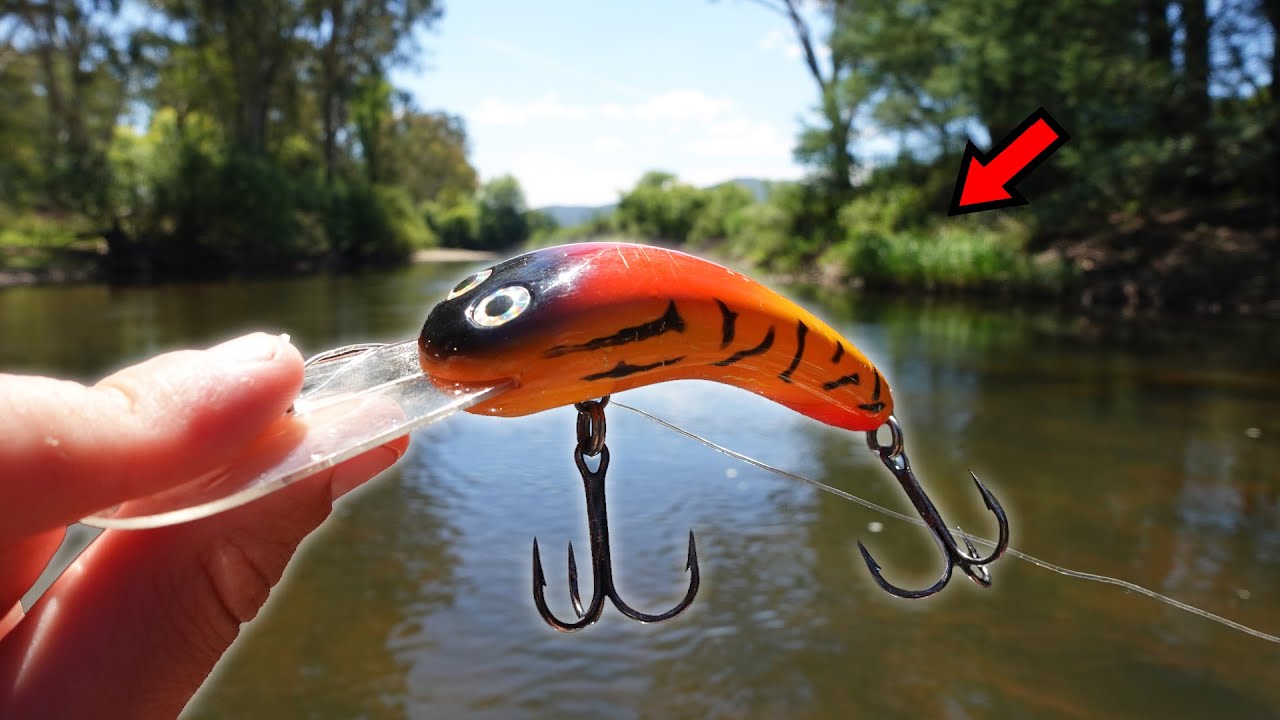 This Simple Lure Never Fails!?! - YouTube