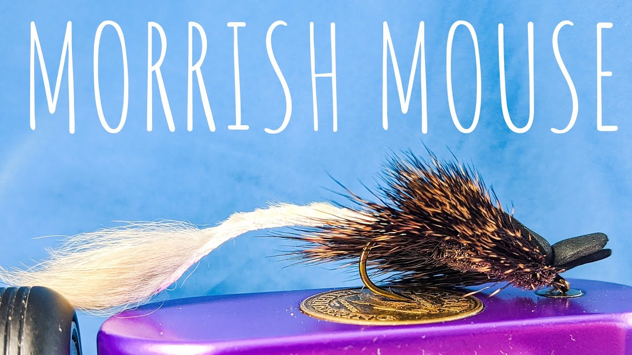 Morrish Mouse Montage par Benoit Farcy - YouTube