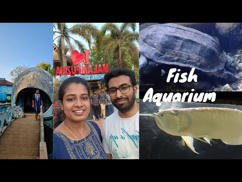 Malampuzha Fish Aquarium| Palakkad| Kerala - YouTube