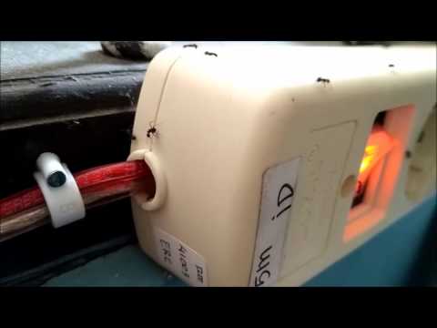 Why Do Insects Like Electrical Equiptment