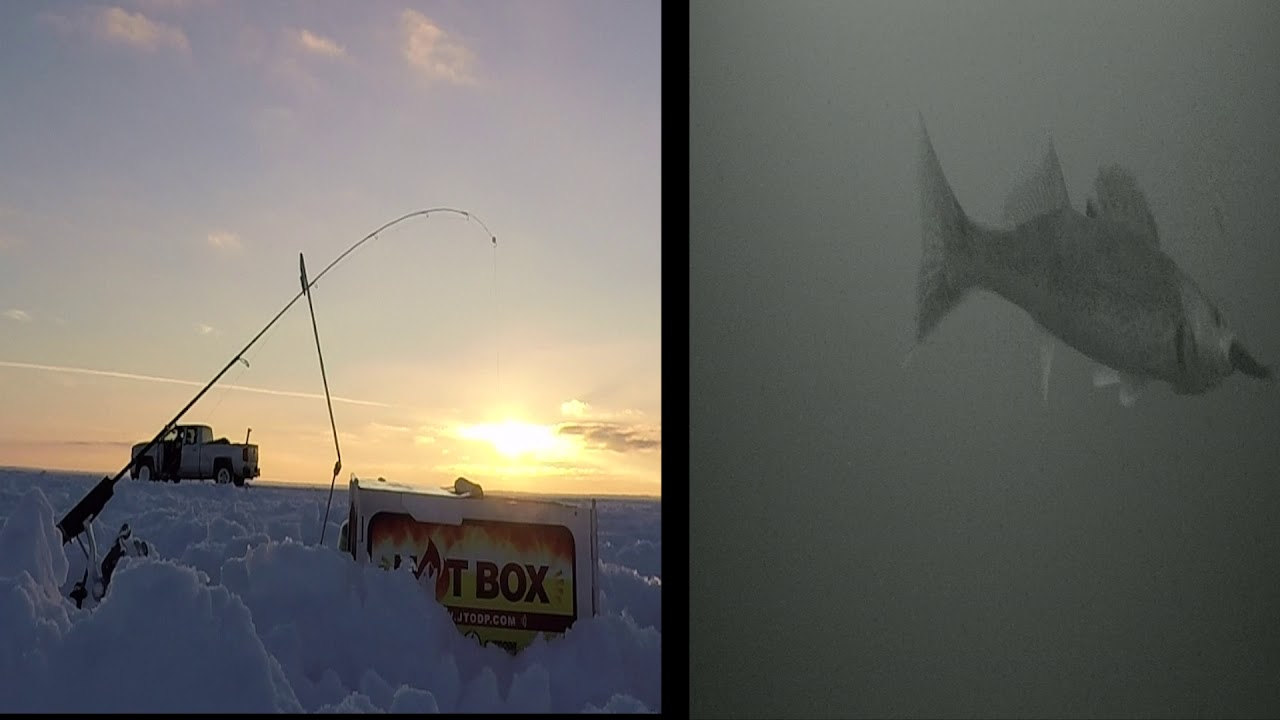 JT Snare Rod in action!! - YouTube