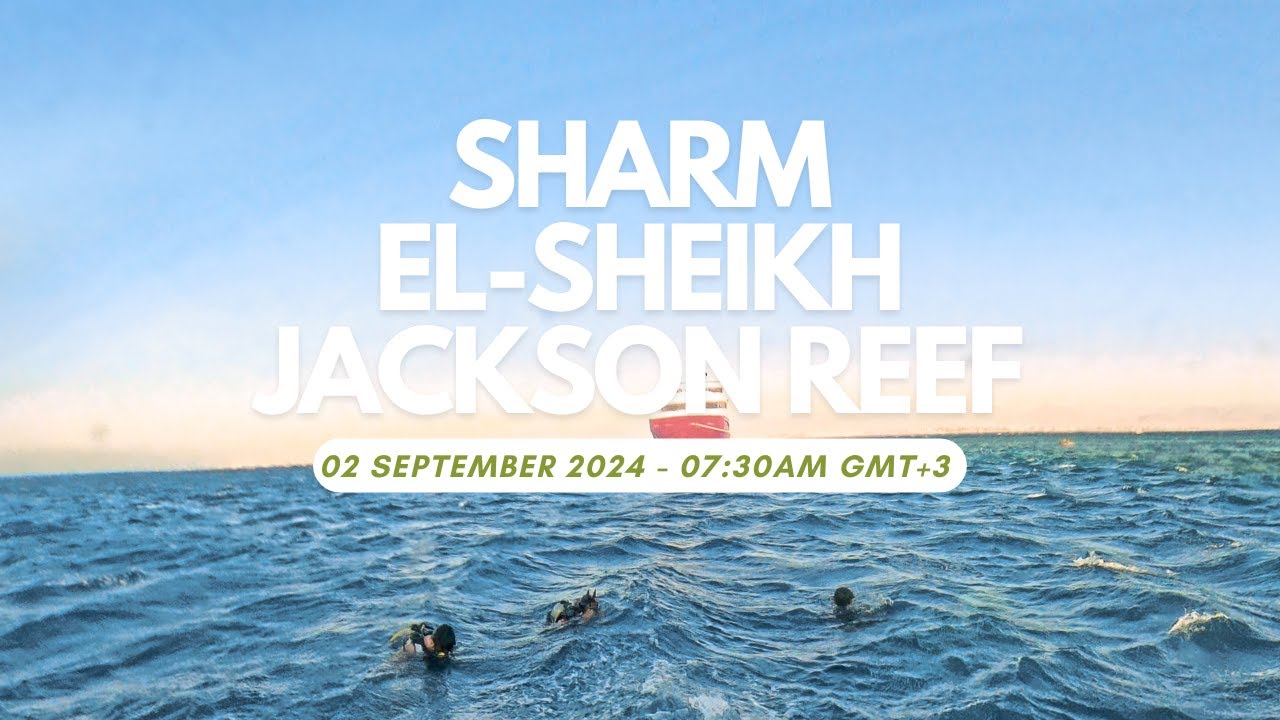 Sharm El-Sheikh Jackson Reef Dive Point - 02 September 2024 - 1 - YouTube