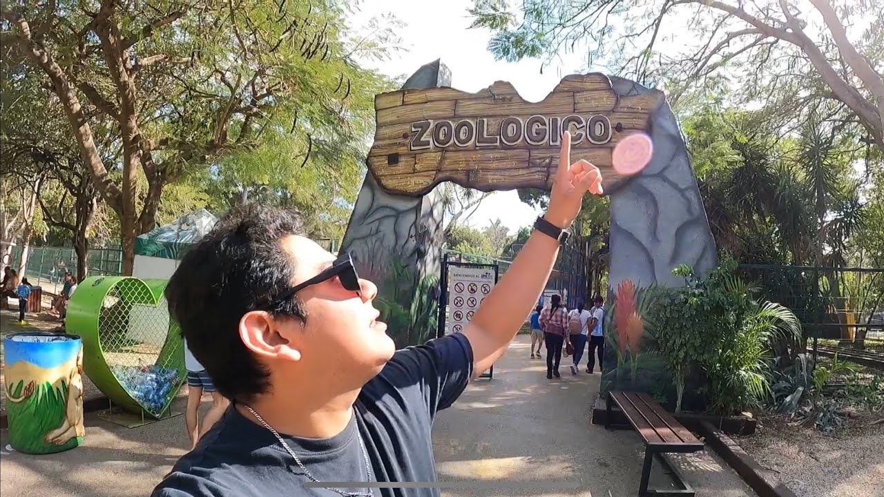 ZOOLÓGICO CENTENARIO DE MÉRIDA🐅 - YouTube