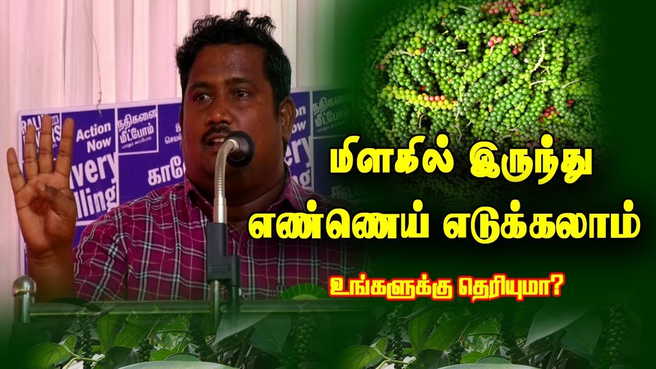 மிளகில் இருந்து எண்ணெய் எடுக்கலாம். உங்களுக்கு தெரியுமா? || Er kalappai ...