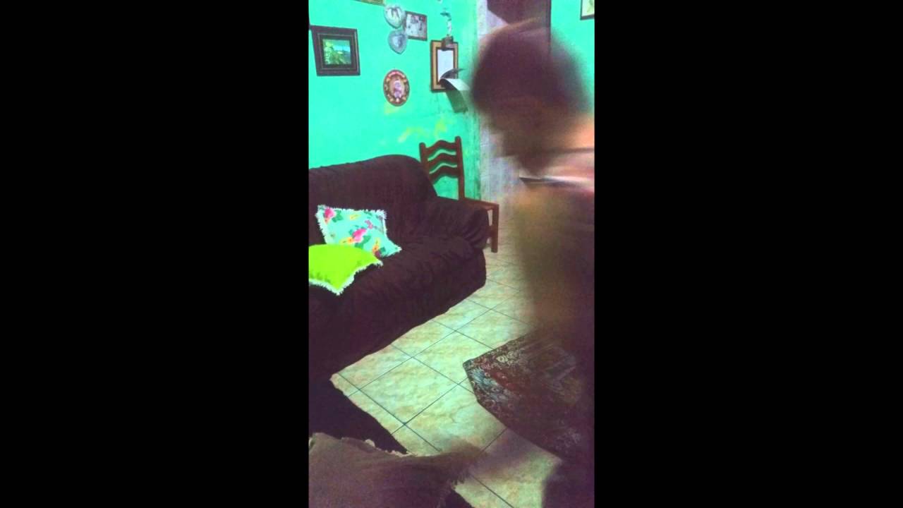 Trolando Meu Sobrinho Kkk Youtube
