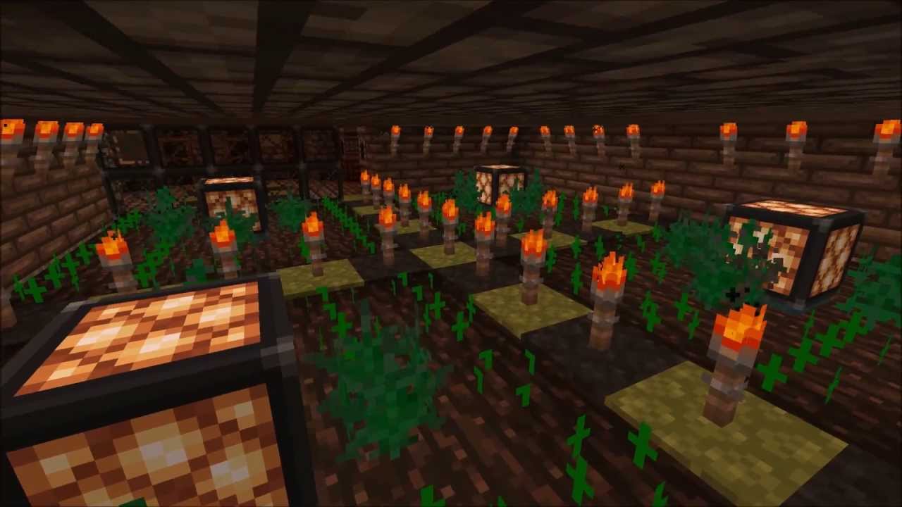 Land of Trees: The Cannabis Enthusiasts Minecraft Server - YouTube
