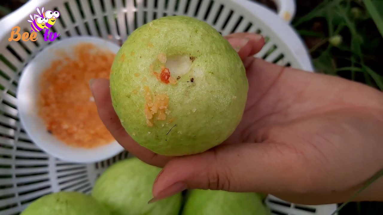 Về vườn ăn ổi trên cây và cái kết ngon tuyệt vời I BEE TV - YouTube