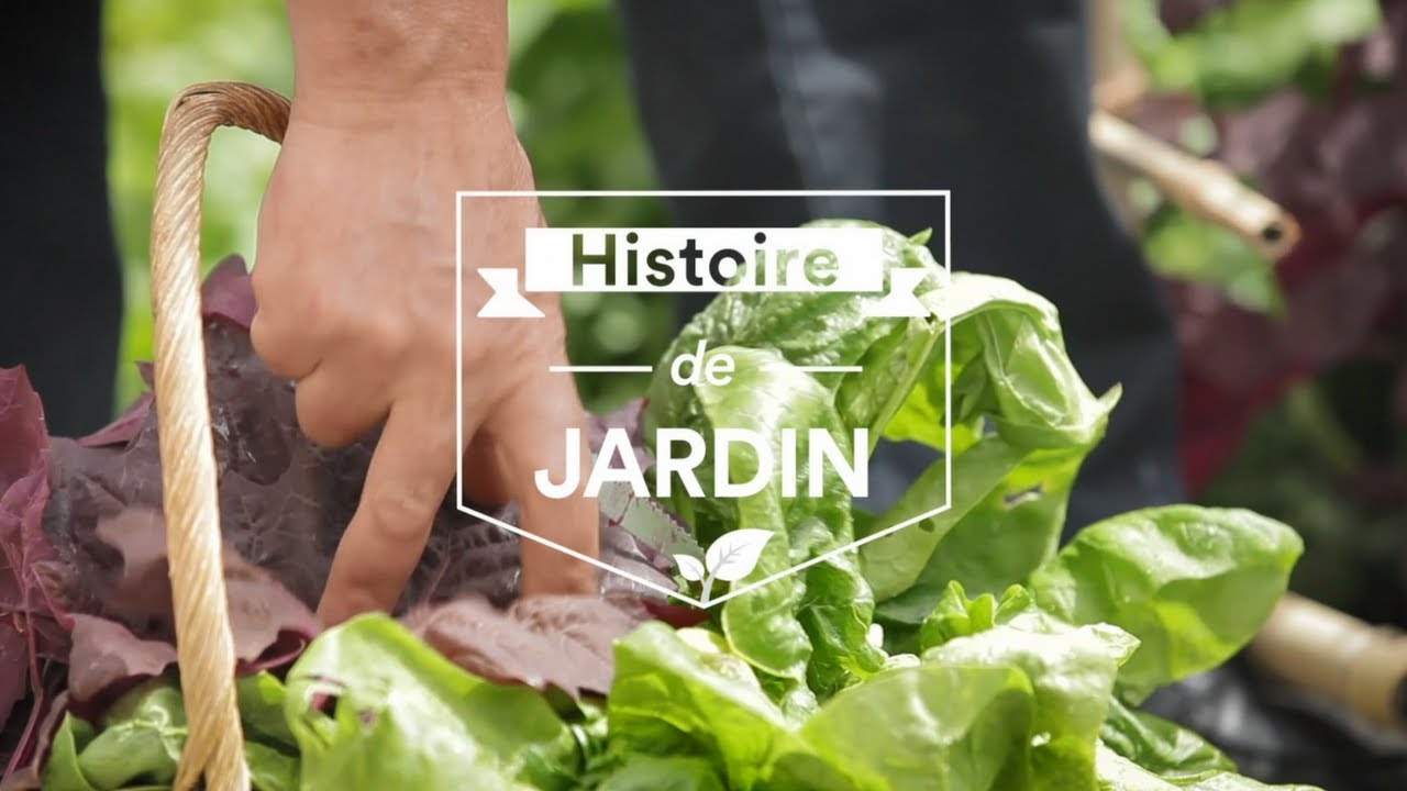 Histoire de Jardin - Le printemps - YouTube