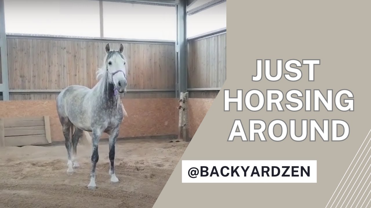 Just Horsing Around: Fun and Playful Moments with Horses - YouTube