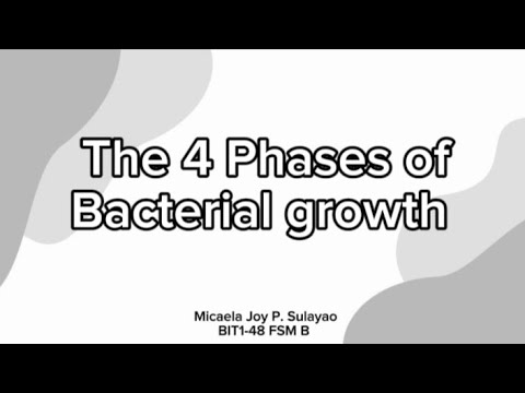 4 phases of bacteria growth - YouTube