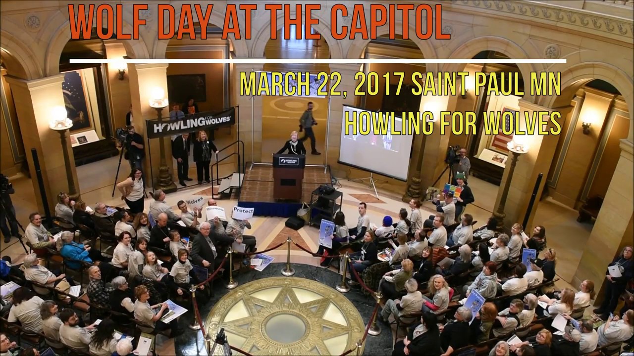 Wolf Day 2017 Inspires and Fires Up Advocates - Howling For Wolves ...