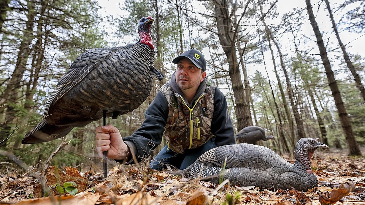 How To Set Up Turkey Decoys (DRAW THEM IN!) - YouTube