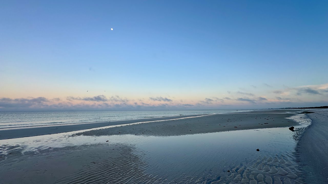 Robb’s Thursday Morning Beach Walk at Delnor-Wiggins in North Naples ...