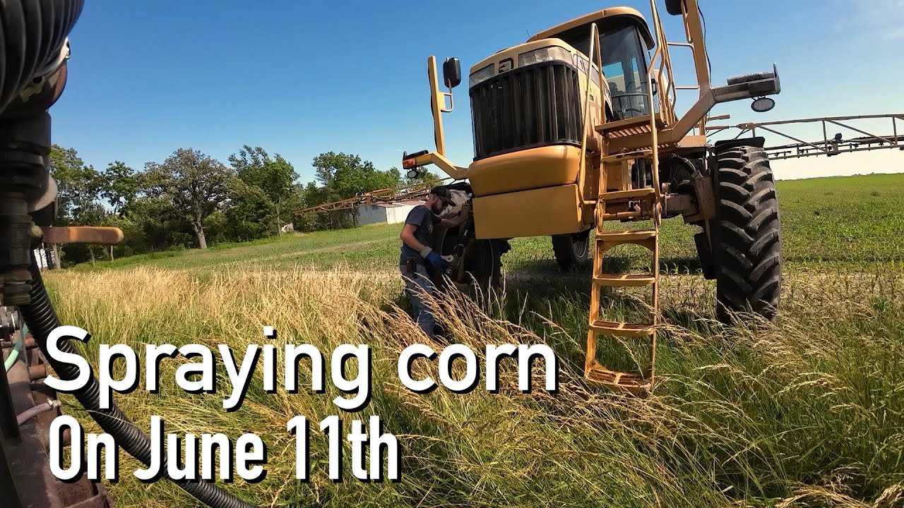Spraying corn a couple months ago - YouTube