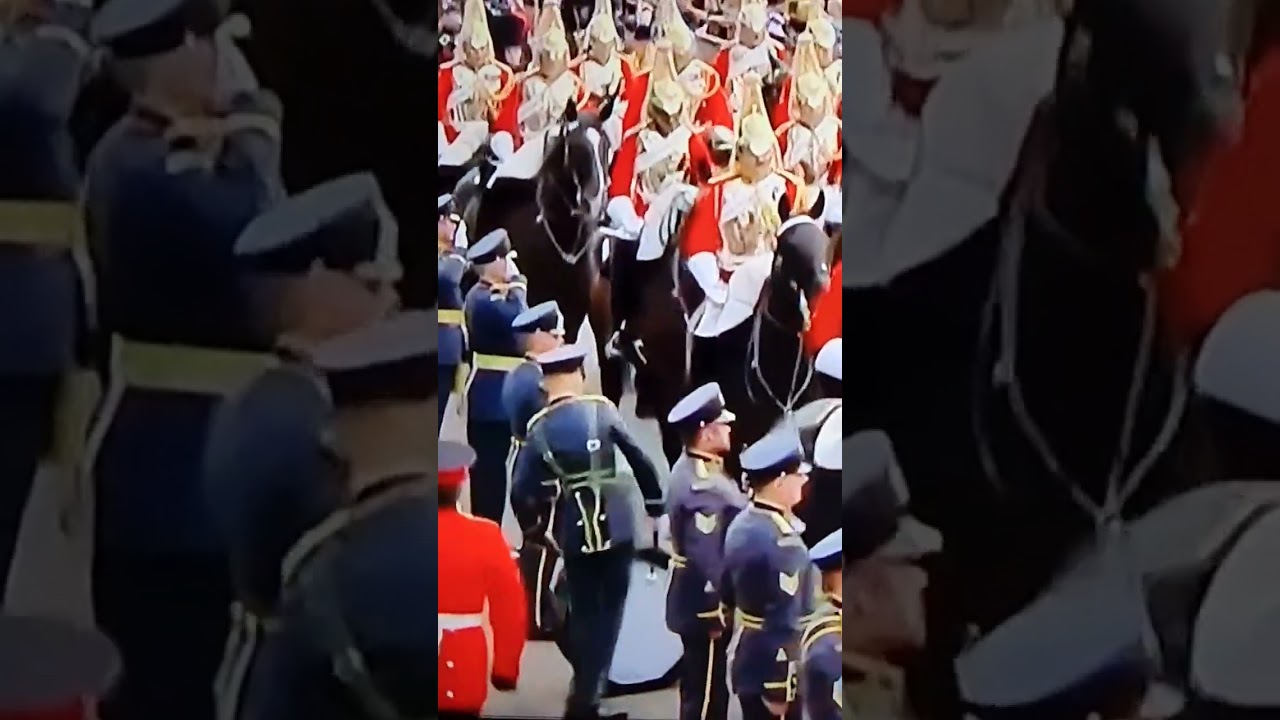 Marching band's drummer gets slapped in the face by horse's tail during ...