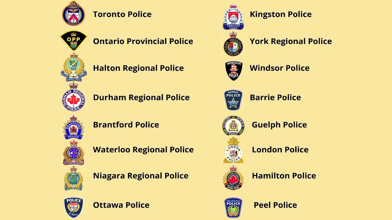 Project "Spade" infographic - YouTube