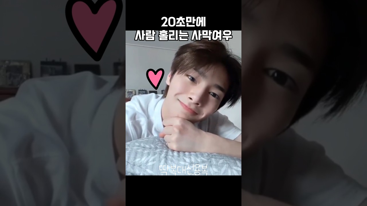 20초만에 사람 홀리는 사막여우 ㄷㄷ #straykids #스트레이키즈 #아이엔 #inskz - YouTube