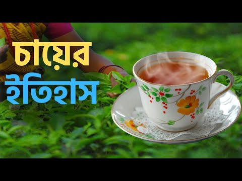 চায়ের ইতিহাস | ভারতবর্ষে চা কীভাবে এলো | History of Tea | History of ...