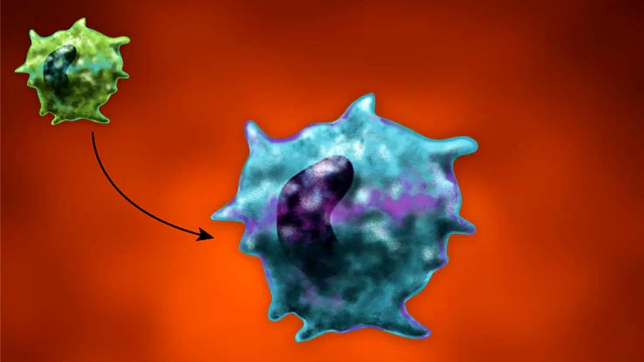 New Tool Can Detect When Will You Die - YouTube