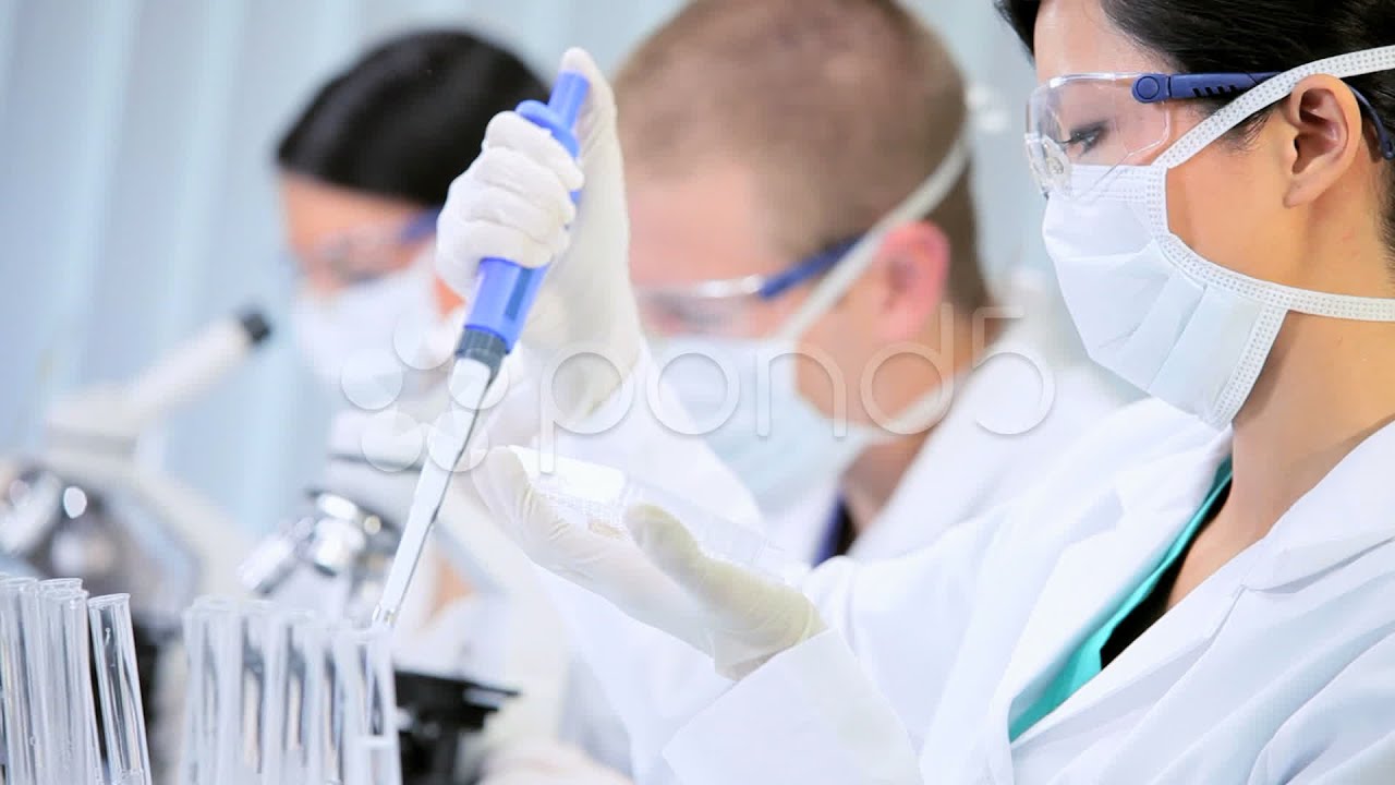 Three Assistants In Medical Research Laboratory. Stock Footage - YouTube