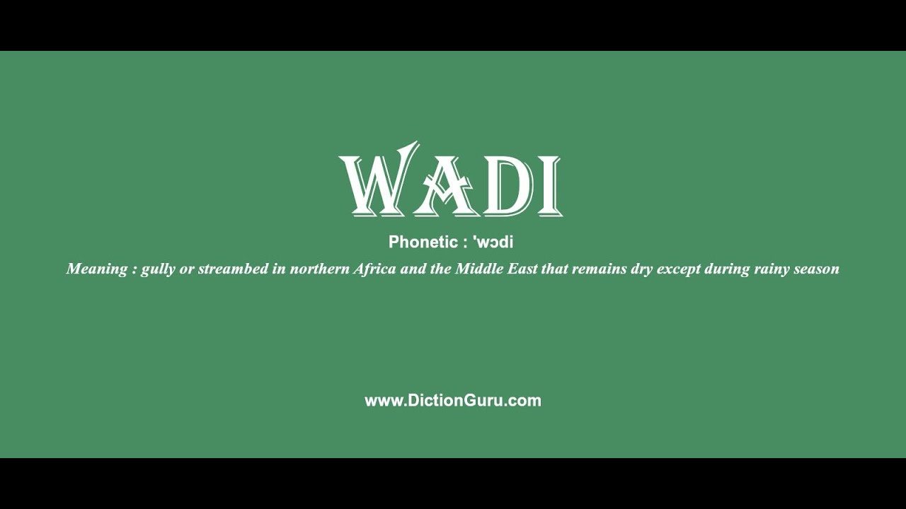 wadi: Pronounce wadi with Phonetic, Synonyms and Sentence Examples ...