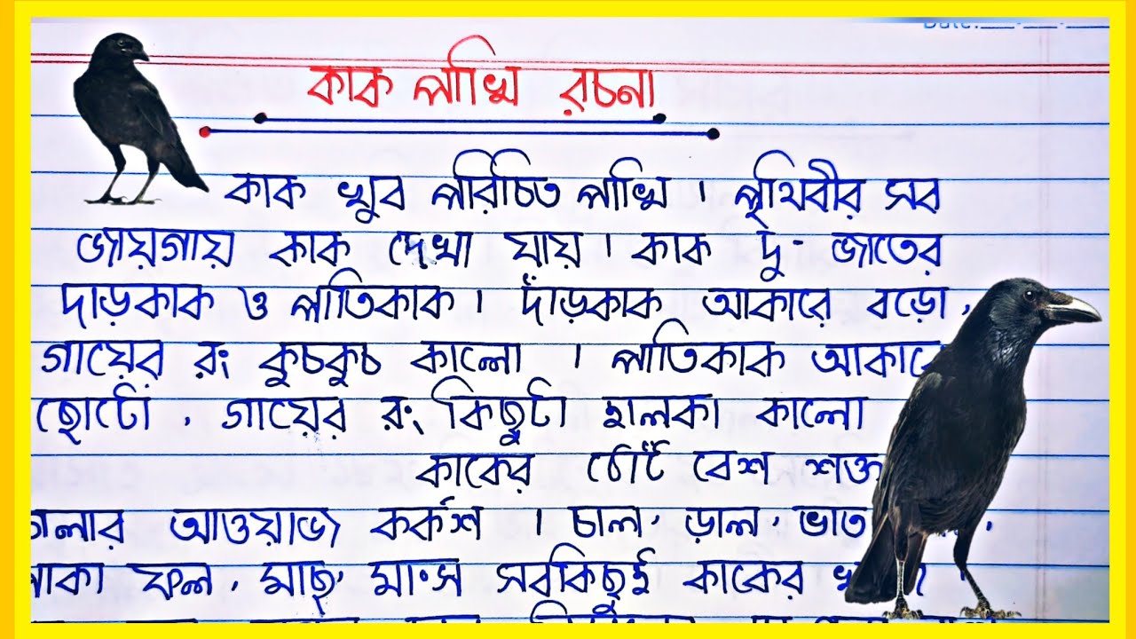 Crow essay in bangla l কাক বাংলা রচনা l কাক অনুচ্ছেদ রচনা l কাক পাখি ...