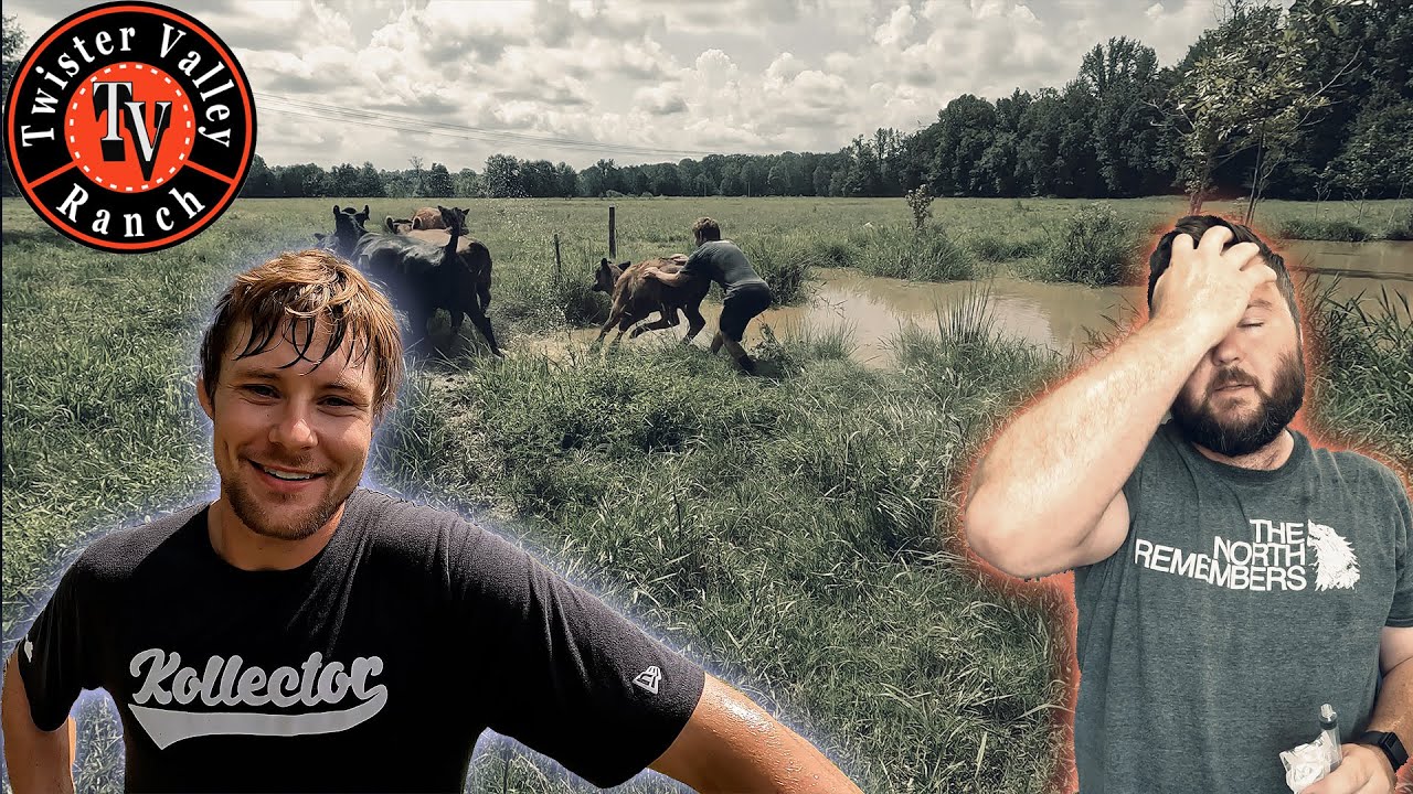 Can we Catch a Bull?? Bryce Mitchell on the Raw egg Diet. - YouTube