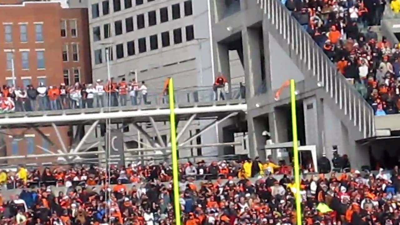 Cincinnati Bengals Who Dey Scream - YouTube