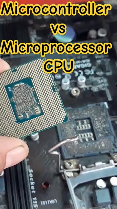 Microcontroller Vs Microprocessor Cpu Computer Computerhardware Cpu