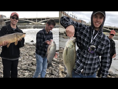 Walleye and Bass Fishing the Iowa River Dam - YouTube