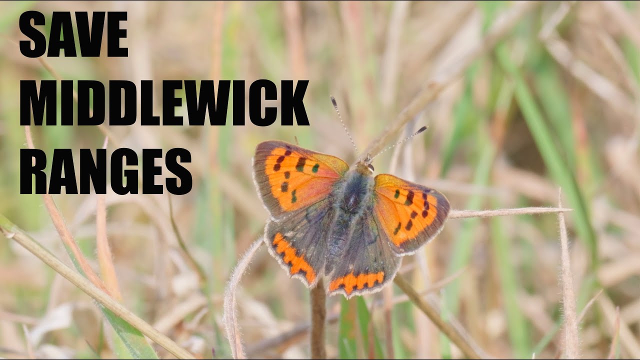 Save Middlewick Ranges - YouTube