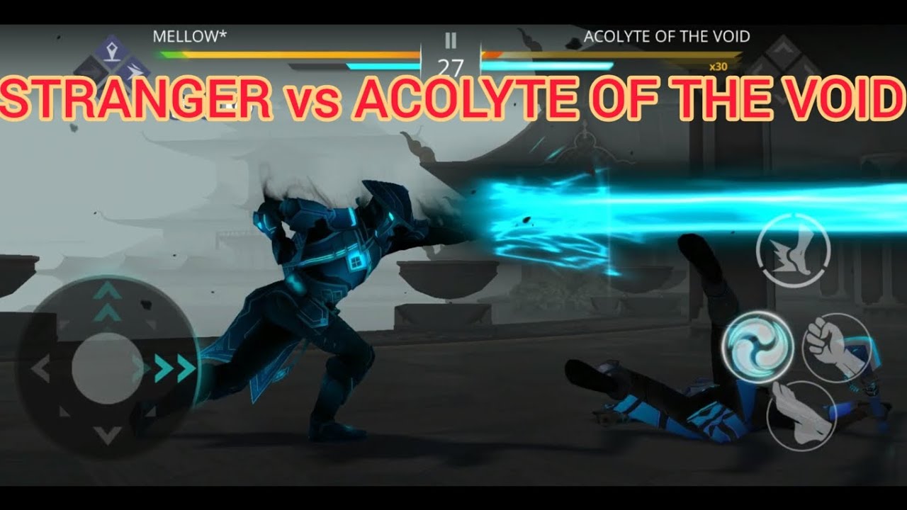 STRANGER vs ACOLYTE OF THE VOID, Raid Boss fight -- shadow fight 3 ...