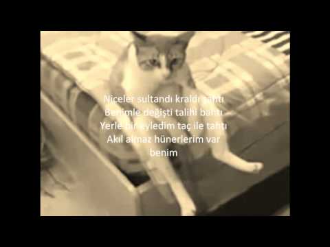 Orhan Gencebay  / kedi depresyona girerse xD (TeK HeCe )
