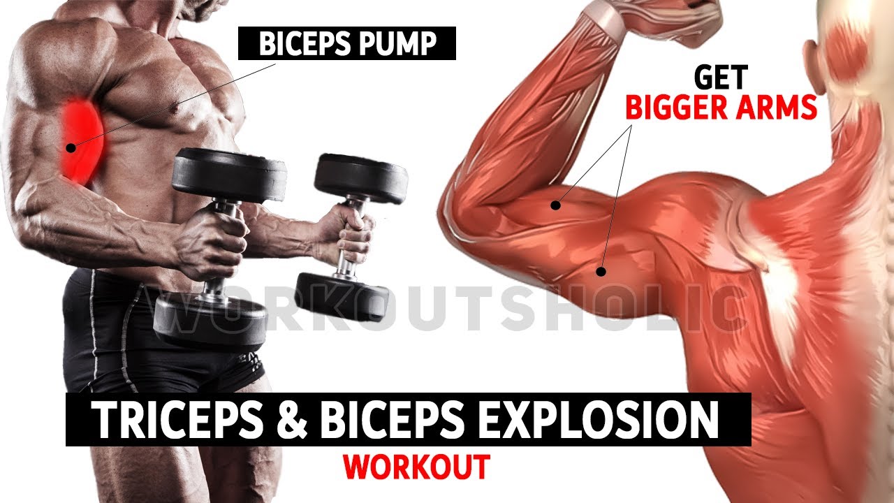 BEST 14 ARM WORKOUT MASS ‖ BICEPS AND TRICEPS - YouTube