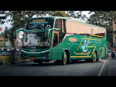 SHARE VECTOR LIVERY SATELQU JETBUS 5 FREE!!! by dmzxx_ - YouTube