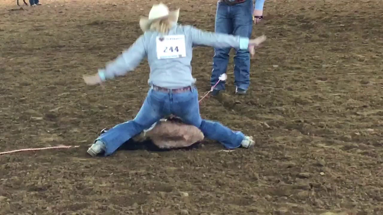 Funny team roping - YouTube