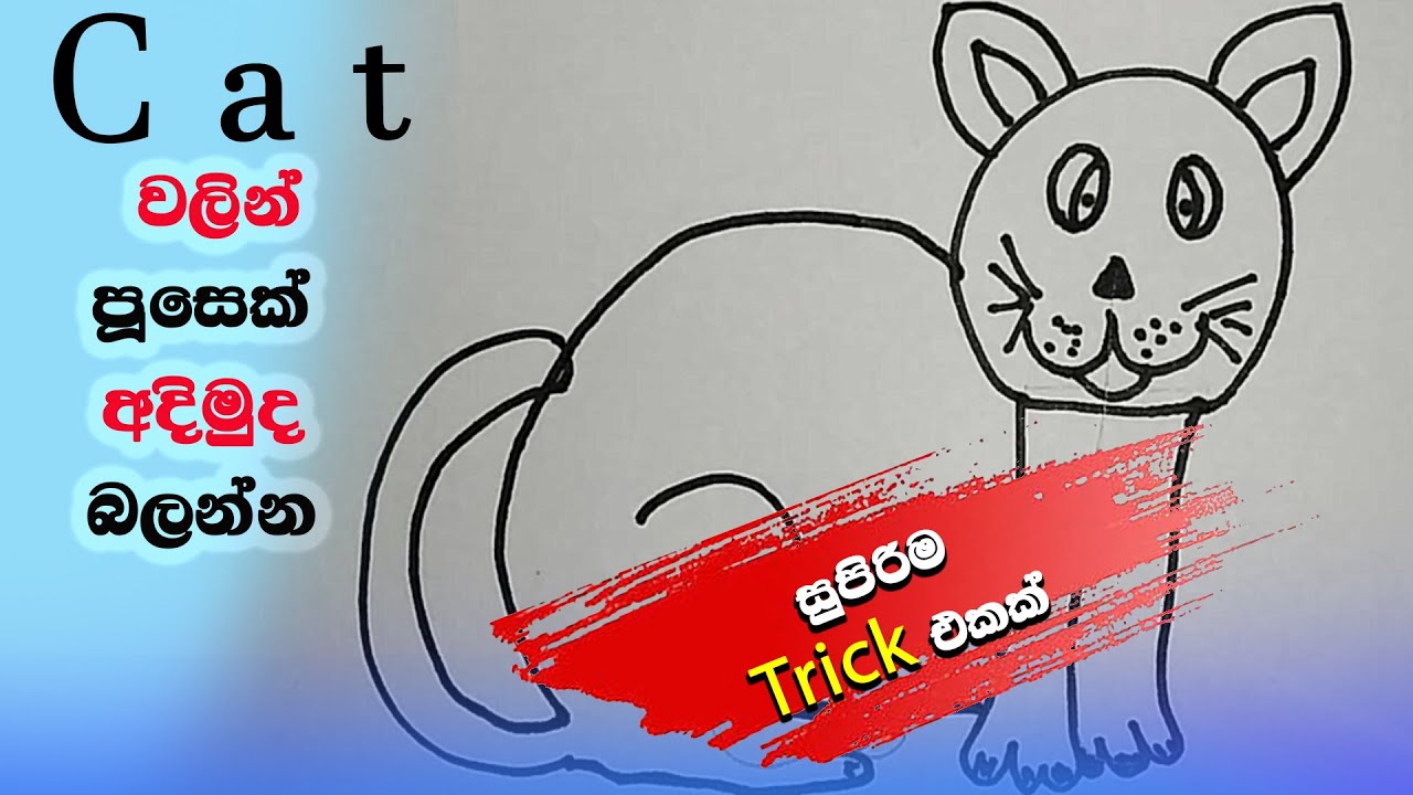 Snap Tv with Sulo | Drawing | Art clip | පූස් පැටියෙක් අදිමු - YouTube