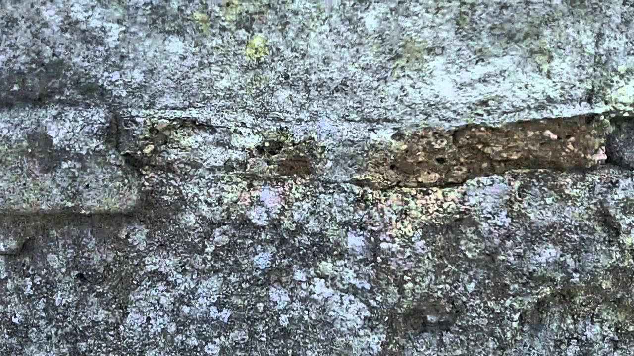 Destruction of historic stone building by cement strap pointing - YouTube