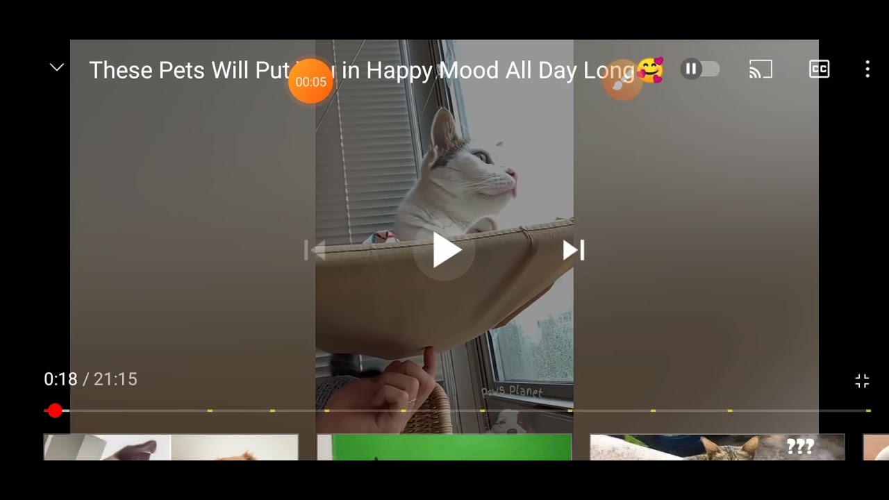 LOOOOOOOOOOOOOOOOOOOL - YouTube