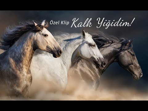 Özel Klip - Kalk Yiğidim! | M. Fethullah Gülen