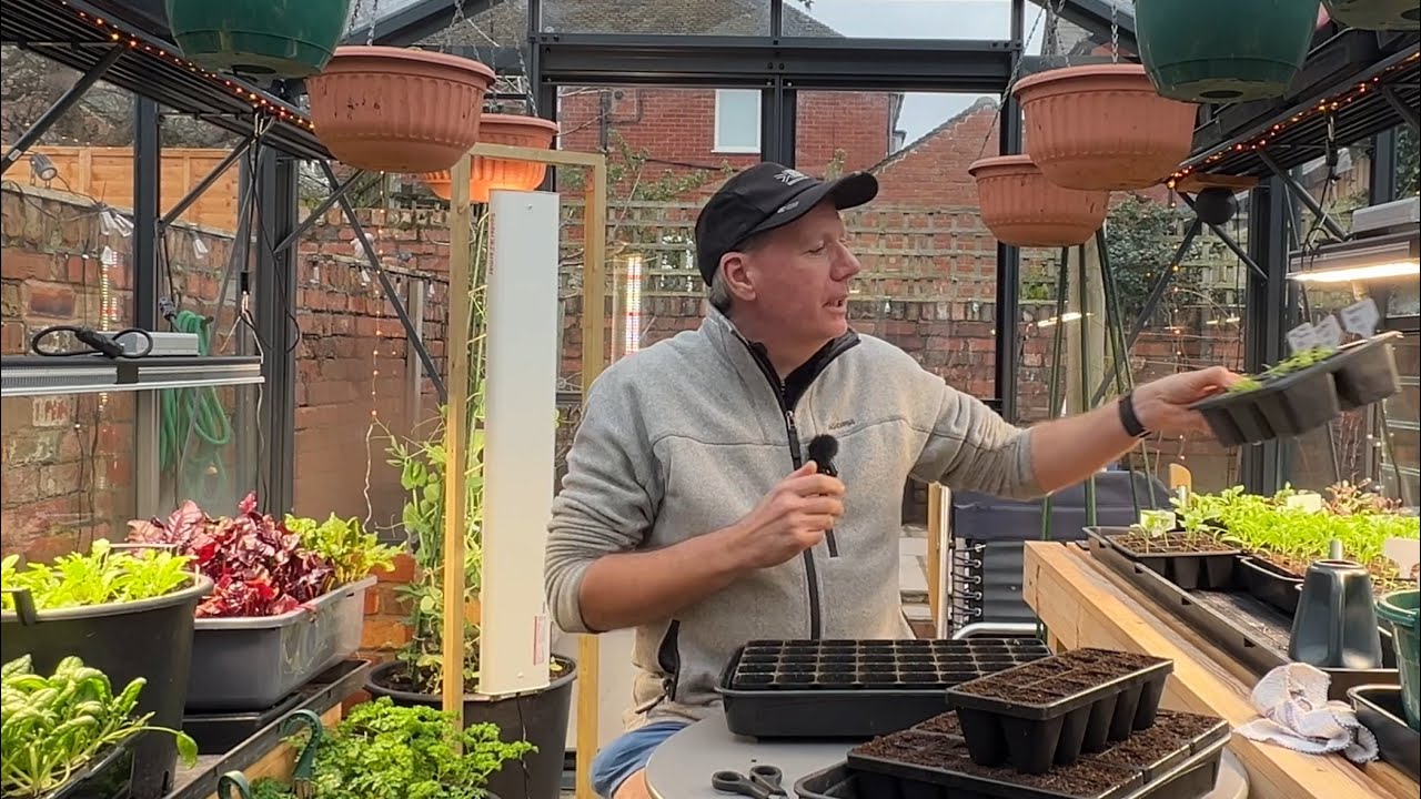 Pricking out and seedling progress - YouTube